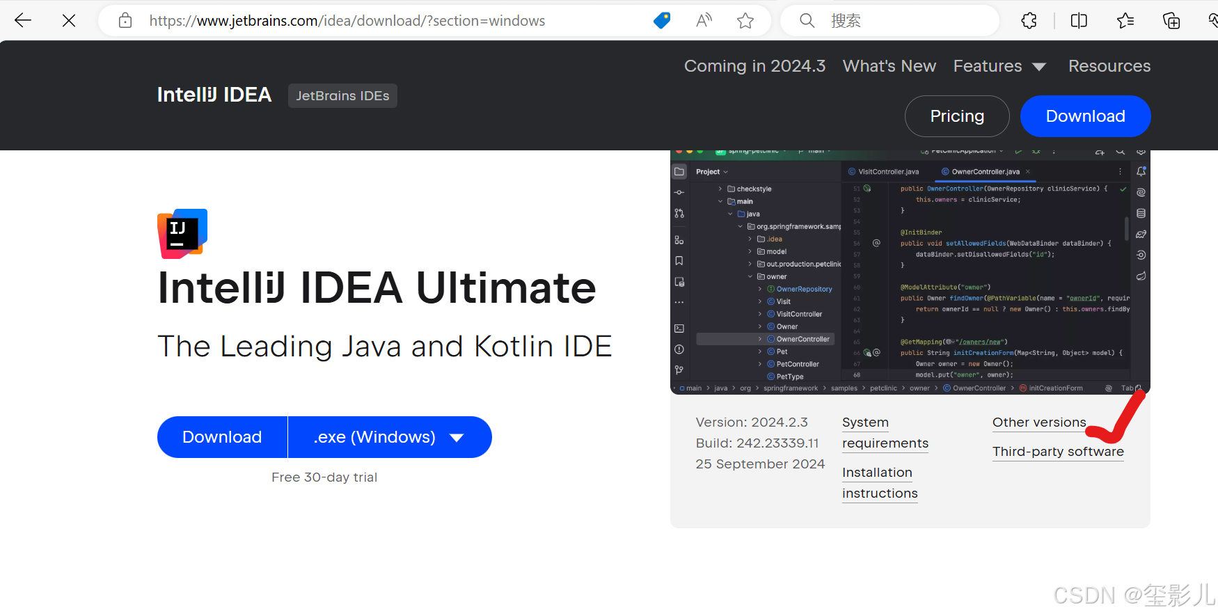 重点：idea2021.3.3版本的安装方式以及使用方法_idea 2021.3.3-CSDN博客