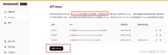 Deepseek API调用超详细教程_deepseek创建apikey-CSDN博客