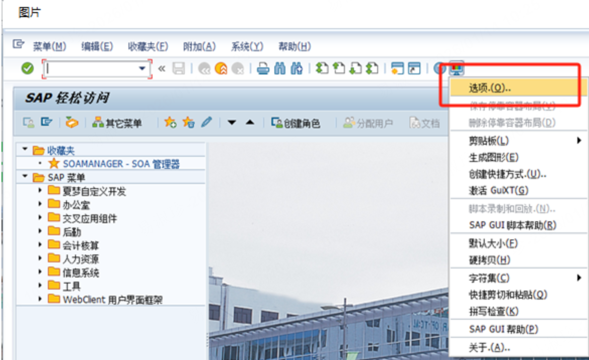 SAP 开启录制与回放功能（RZ11 : sapgui/user_scripting_sap脚本录制和回放是灰色的-CSDN博客