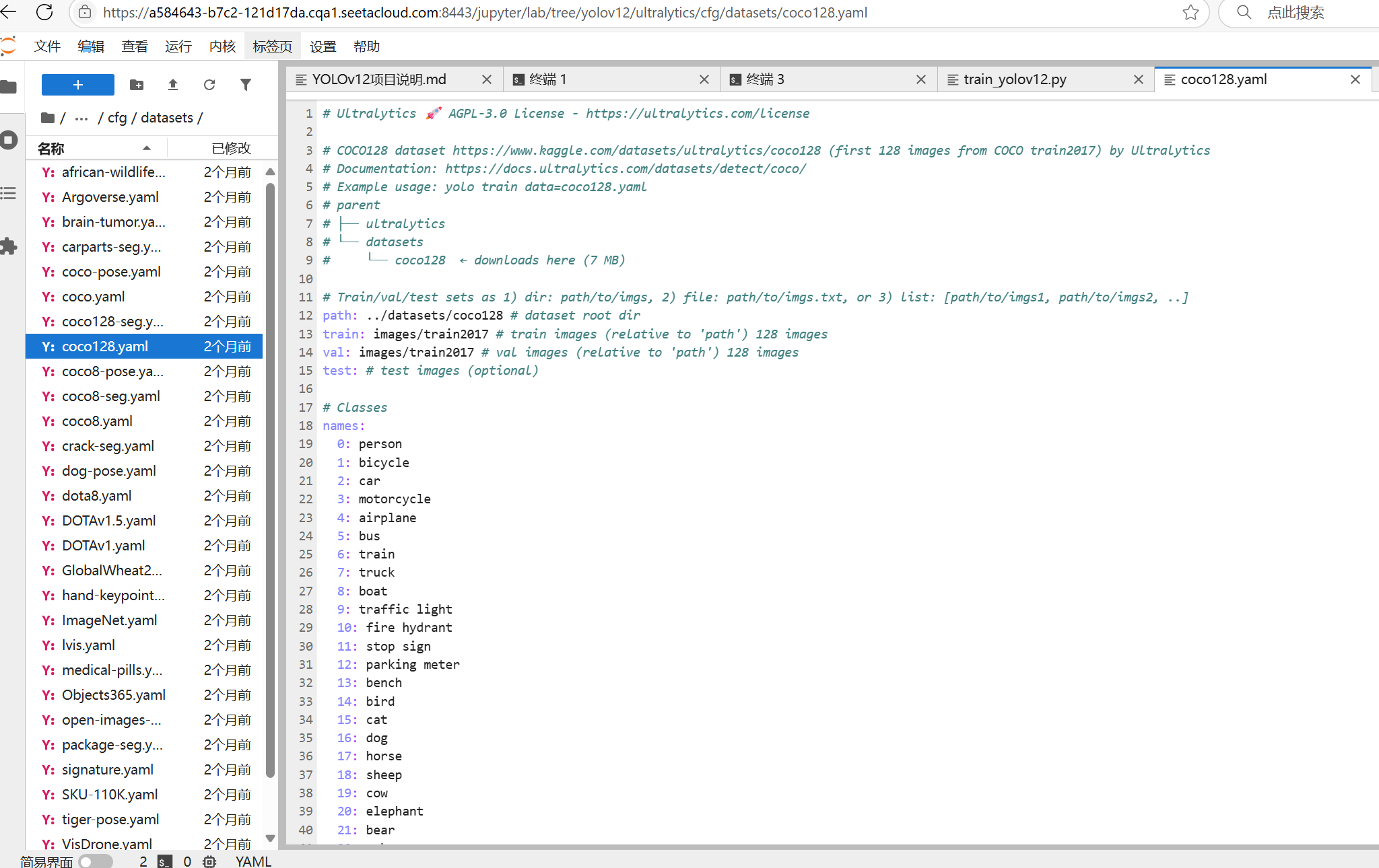 yolo数据集 制作（粗糙版本）_yolo数据集制作-CSDN博客