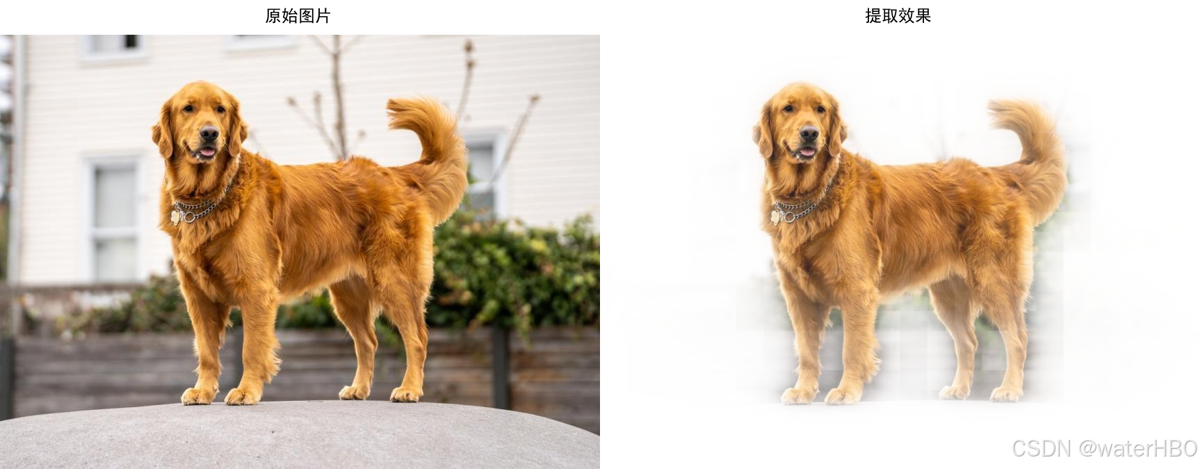 clipSeg 图像分割，简单了解一下-CSDN博客