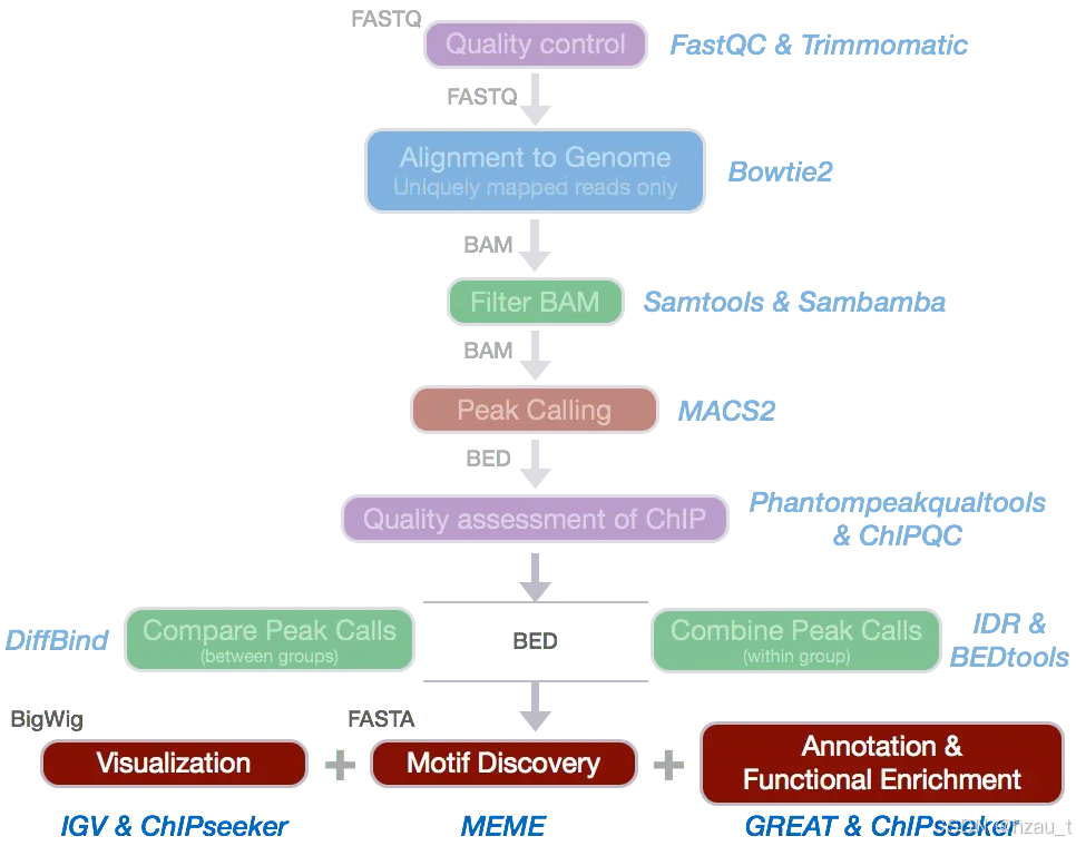 ATAC-seq分析pipeline-以水稻胚乳为例_atac rpkm-CSDN博客