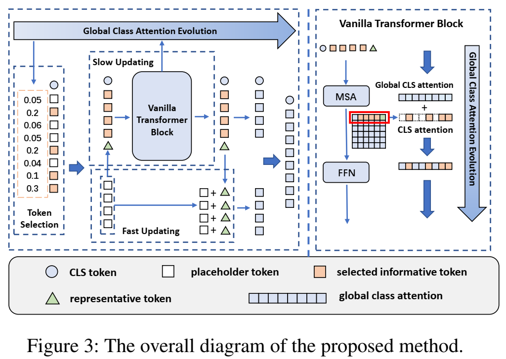 Token Pruning文章总结-CSDN博客