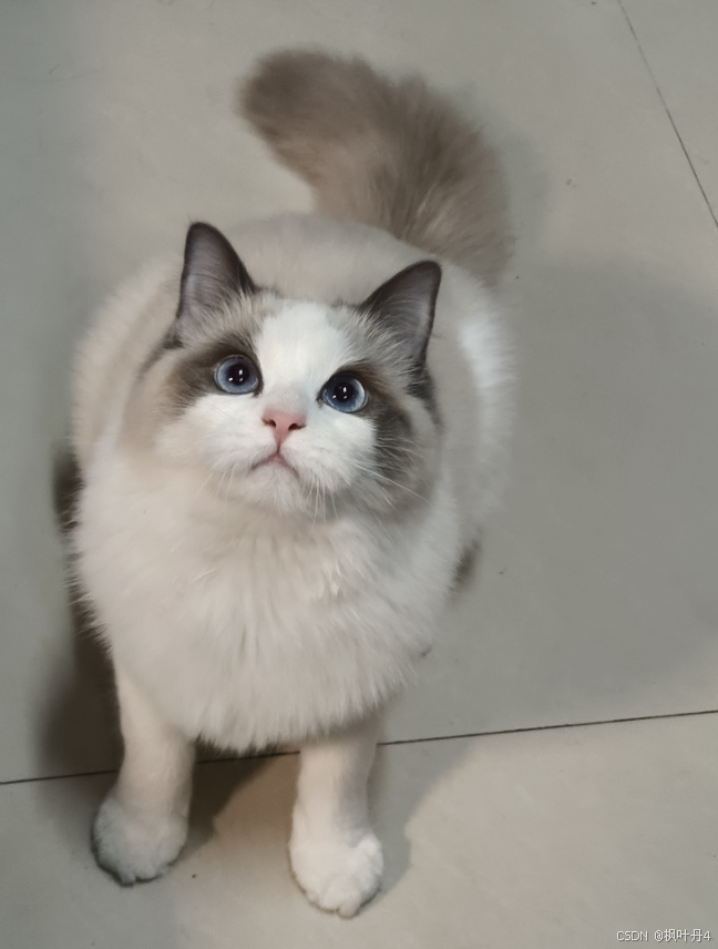 【HarmonyOS Next之旅】基于ArkTS开发(一) -＞ Ability开发二_鸿蒙ability 加载不同模块中的不同page,使用arkts语言做示例代码-CSDN博客