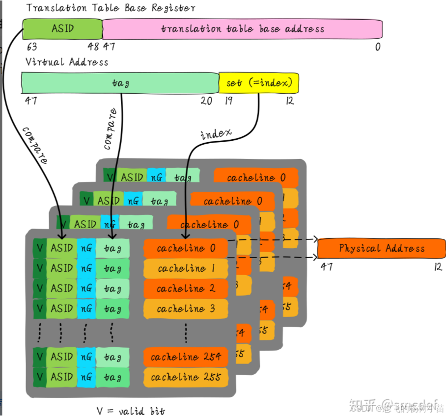 CPU设计-- 缓存入门篇6 TLB_cpu tlb-CSDN博客