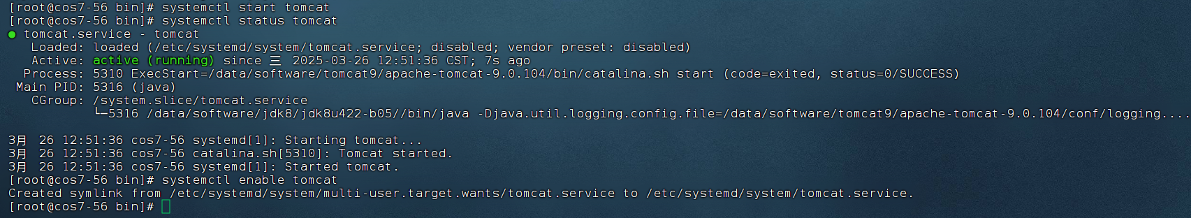 CentOS7安装Tomcat9.0操作步骤_centos7 安装tomcat9-CSDN博客