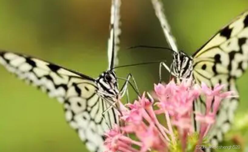 SD卡故障排除：清洁、分配盘符与CHKDSK检查错误_sd卡出现命令“16卷分区磁盘:179,64公共”失败,“40016命令失败”-CSDN博客