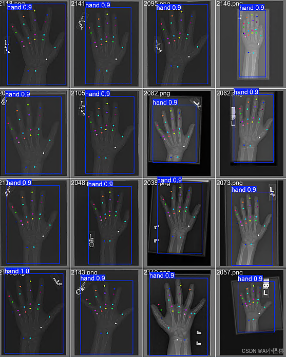 YOLOv13-pose关键点检测：训练实战手把手教程篇| 自己数据集从labelme标注到生成yolo格式的关键点数据以及训练教程_yolov13 pose-CSDN博客