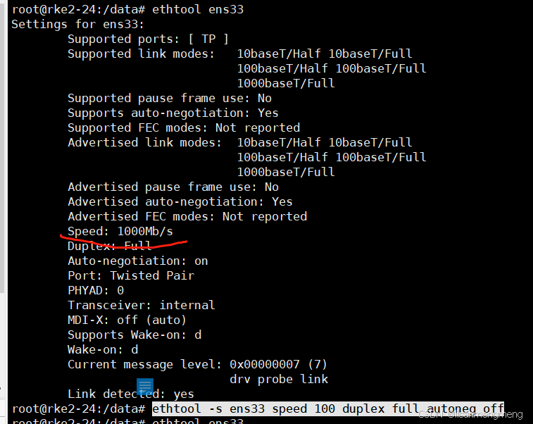 Linux 操作系统下ethtool 命令介绍和使用案例_linux ethtool-CSDN博客