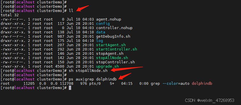 DolphinDB安装部署手册-CSDN博客