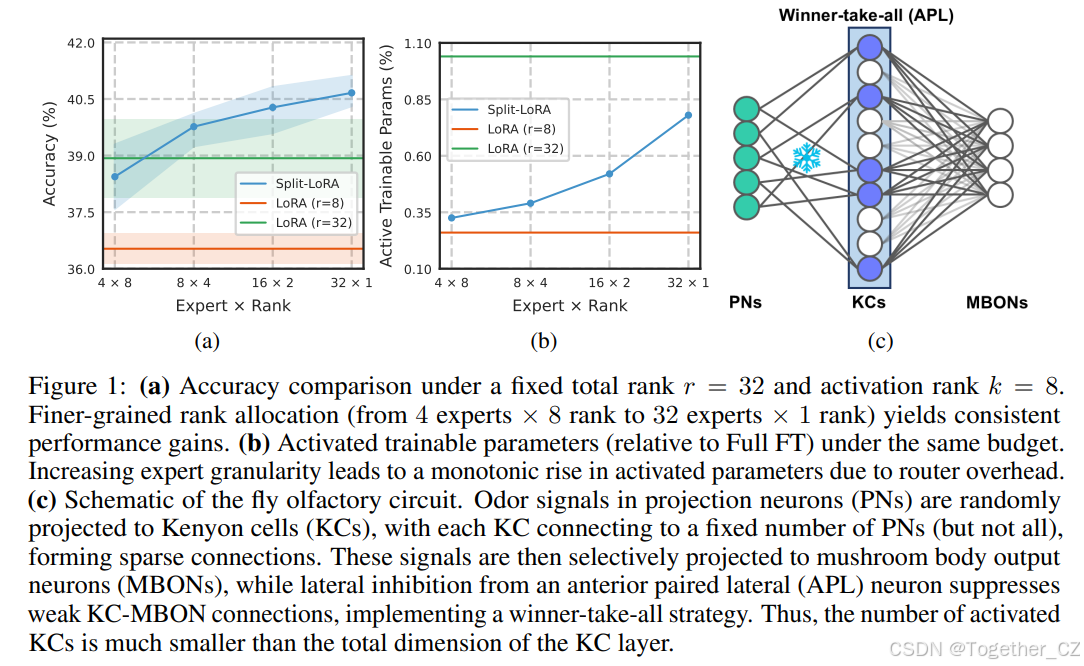 FlyLoRA: Boosting Task Decoupling and Parameter Efficiency via Implicit Rank-Wise Mixture-of ...
