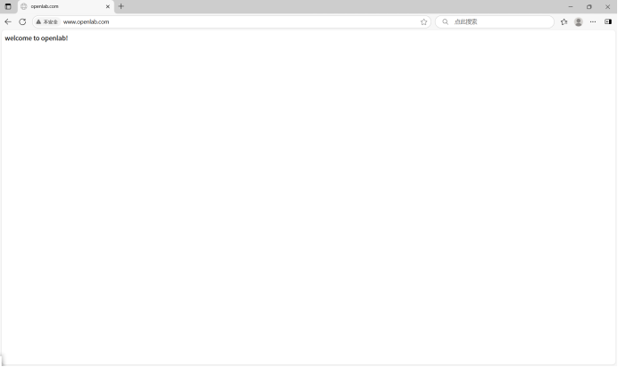 Linux Web 服务搭建实践：基于 Nginx 的 openlab 网站配置（第三次作业）-CSDN博客