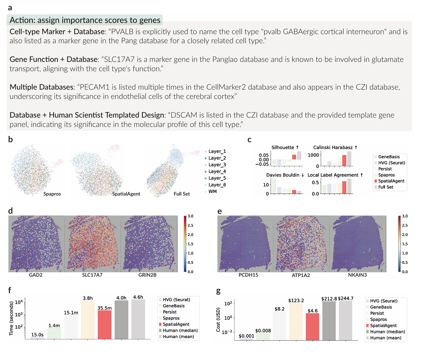SpatialAgent，让空间组学进入“自动驾驶“时代！_geo-spatial agents-CSDN博客