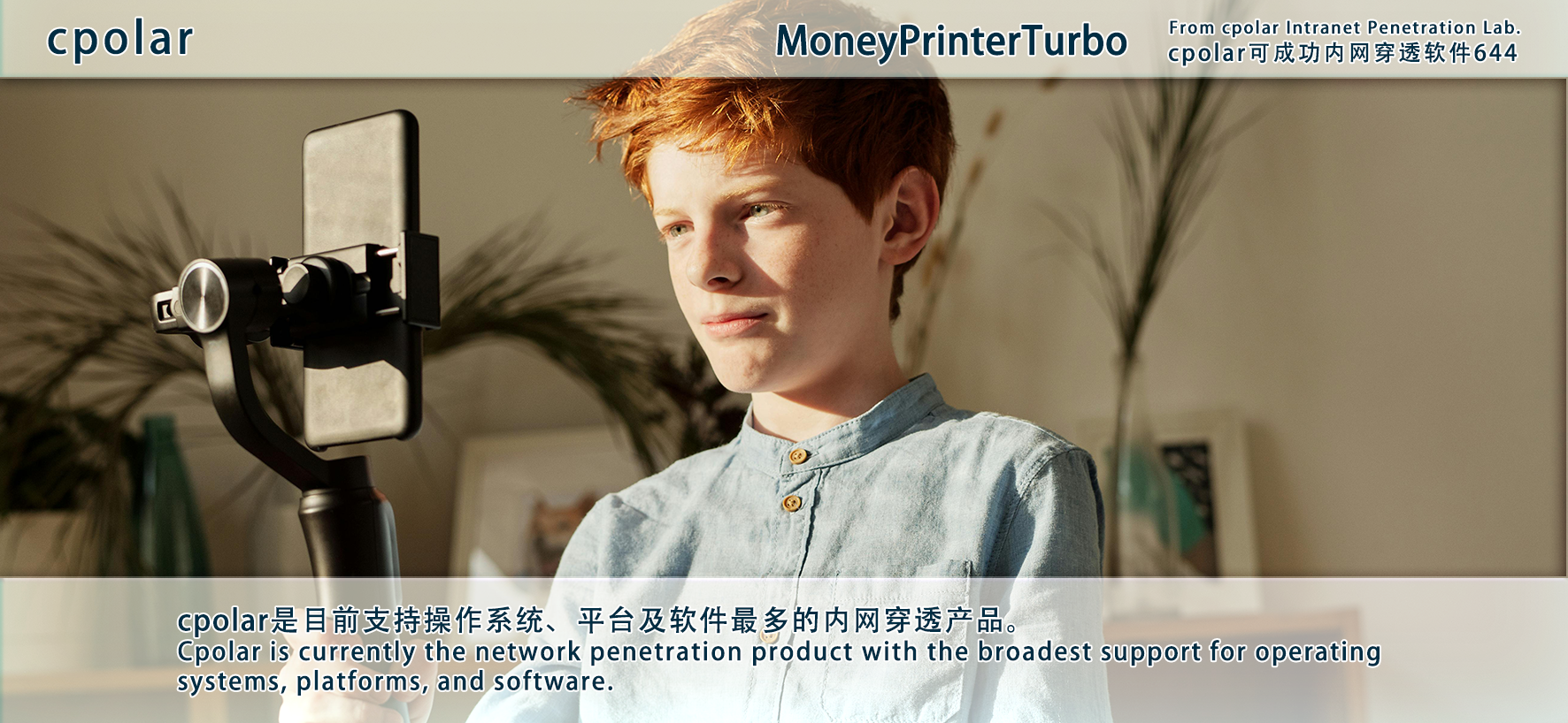 MoneyPrinterTurbo一键生成短视频：cpolar内网穿透实验室第644个成功挑战-CSDN博客