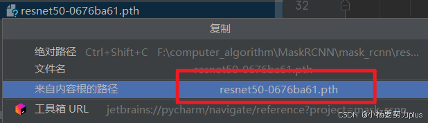 自用：基于Pytorch的Mask RCNN模型训练非公共数据集_pytorch maskrcnn训练自己的数据集-CSDN博客