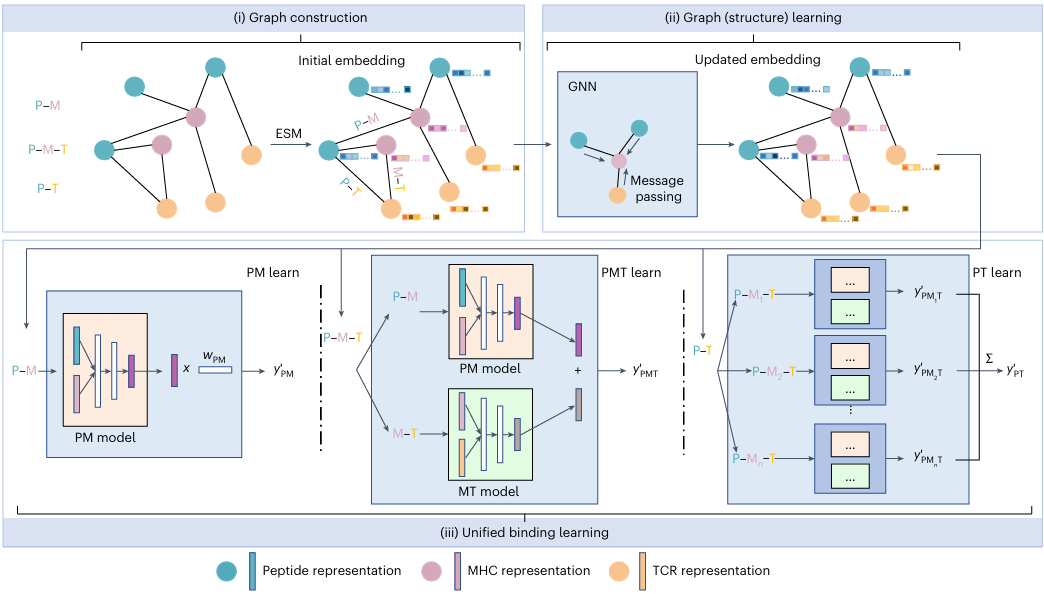 [论文阅读]A unified deep framework for peptide–major histocompatibility complex–T cell receptor ...