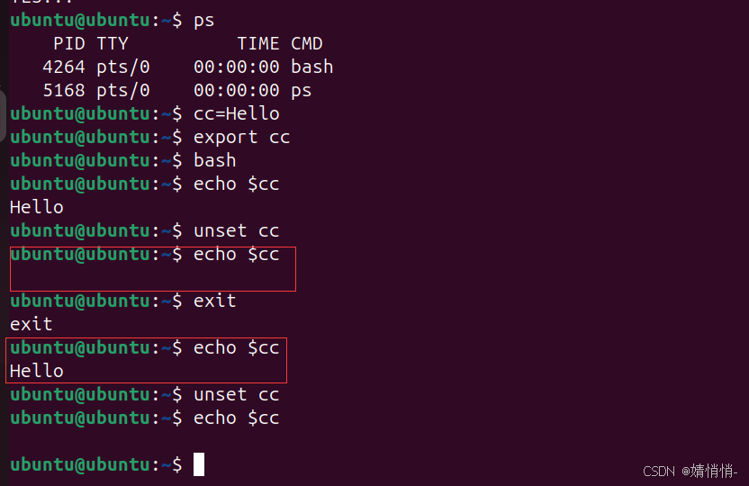 使用Linux环境变量_环境变量文本怎么打开linux-CSDN博客