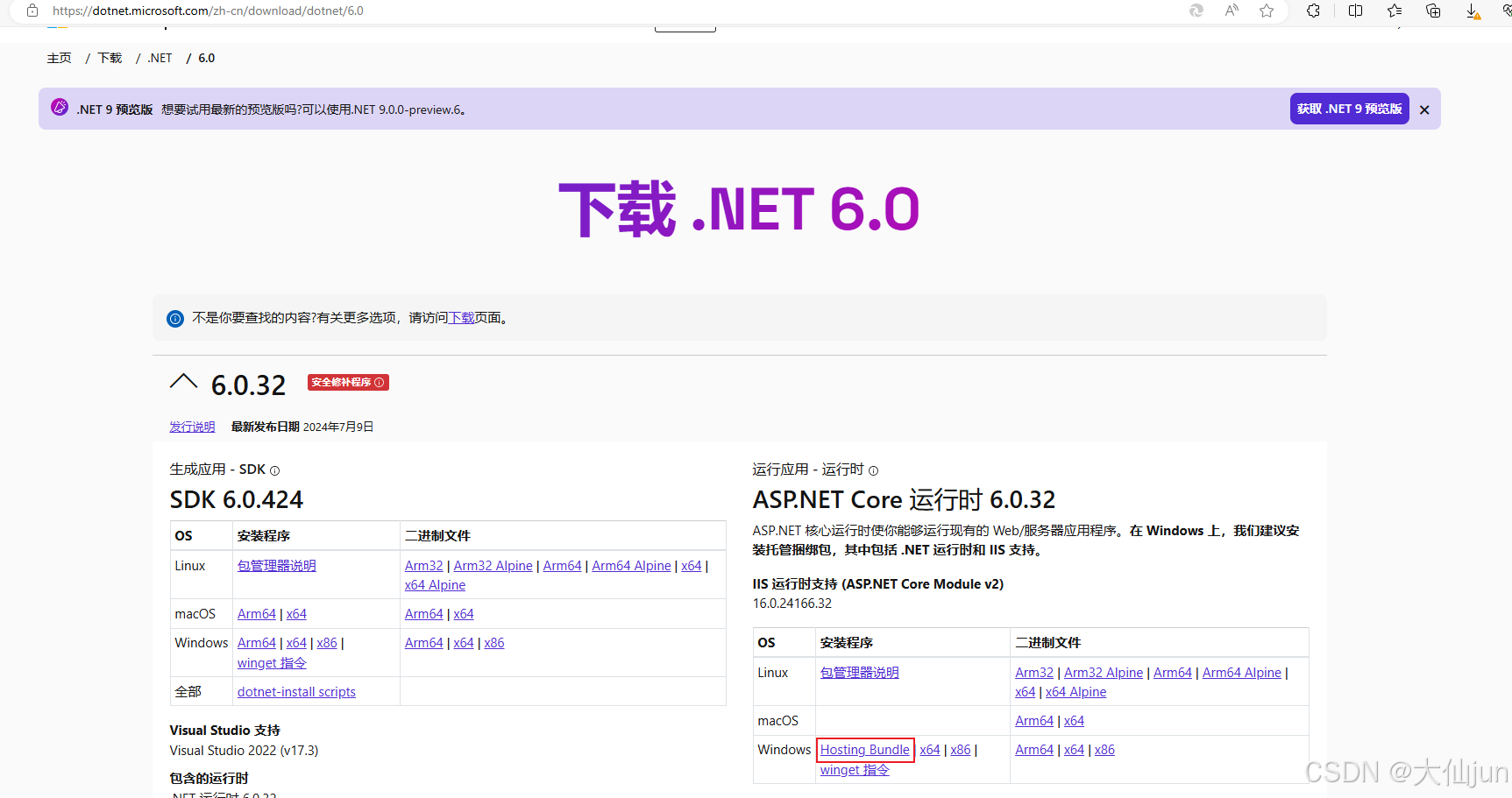 .net部署与发布_dotnet-hosting部署发布-CSDN博客