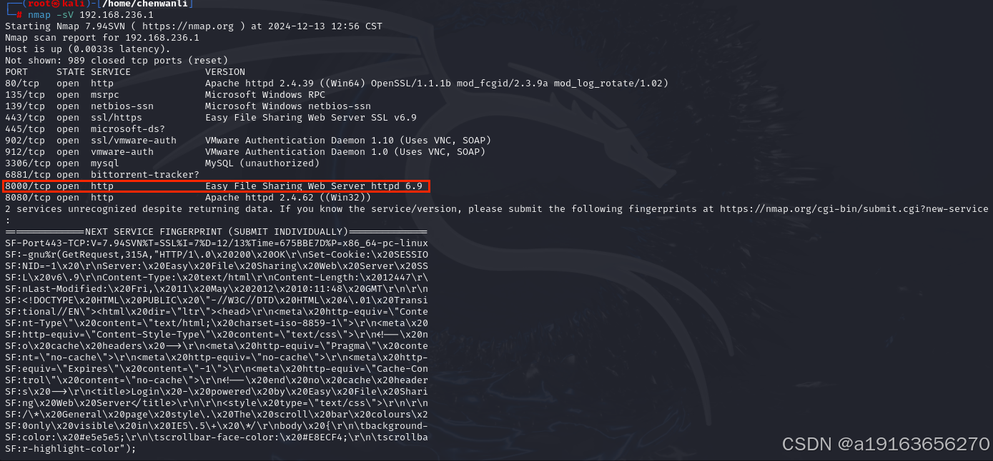 Easy File Sharing Web Server漏洞复现(1)-CSDN博客