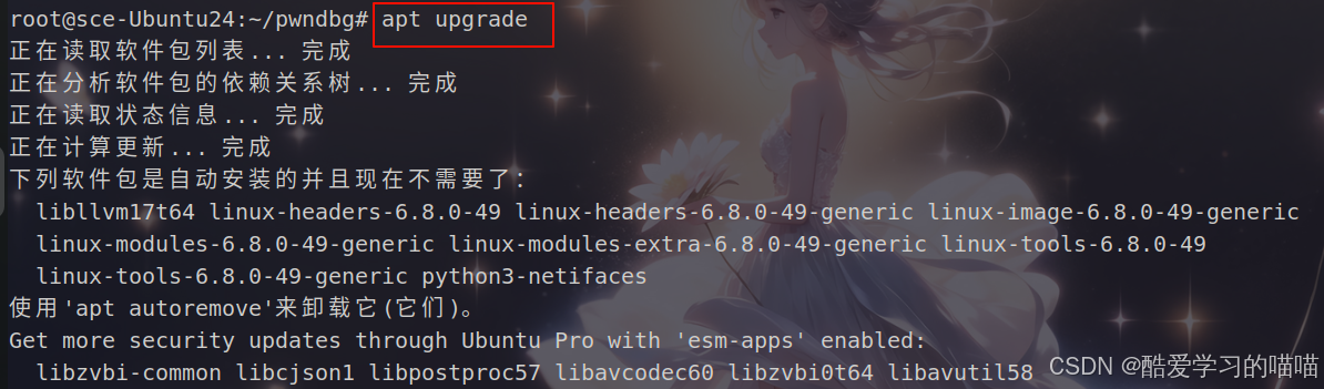 在Ubuntu里面如何正确安装pwndbg-CSDN博客