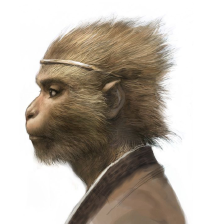 视听导航文献整理（Audio-Visual Embodied Navigation）_pay self attntion to audiogoal-CSDN博客