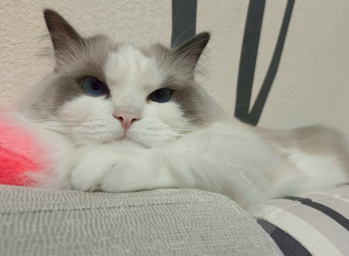 【Qt开发】布局管理器（四）-＞ QFormLayout 表单布局_c++ qt5 formlayout表单-CSDN博客