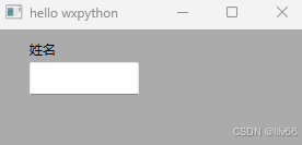 wxpython中使用StaticText、TextCtrl和BoxSizer布局_python wxpython textctrl 字体居中-CSDN博客