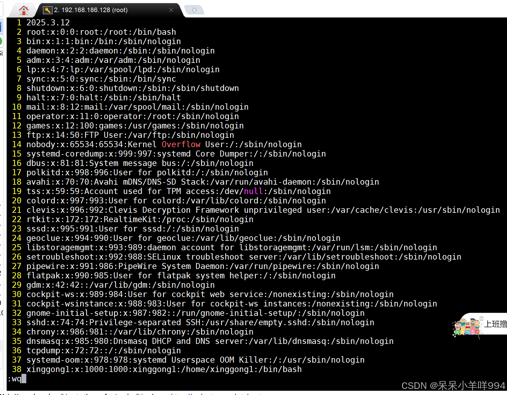 创建虚拟机 安装Linux-CSDN博客