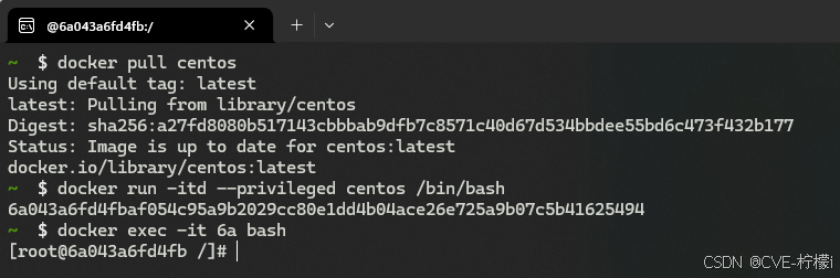 [docker逃逸] Privileged 特权模式逃逸复现-CSDN博客