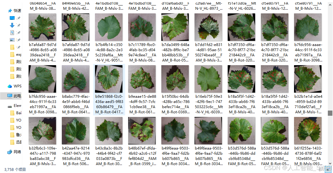 基于深度学习YOLOv10的葡萄叶片病害检测系统（YOLOv10+YOLO数据集+UI界面+Python项目源码+模型）_基于深度学习的葡萄叶部病害图像分类系统-CSDN博客