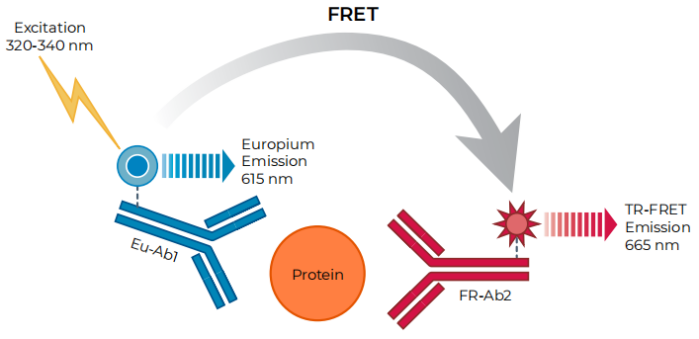 与辉瑞Pfizer一起，用BioAuxilium CCL17/TARC检测试剂盒——From WIPO（世界知识产权组织）_pfizer专利 ...