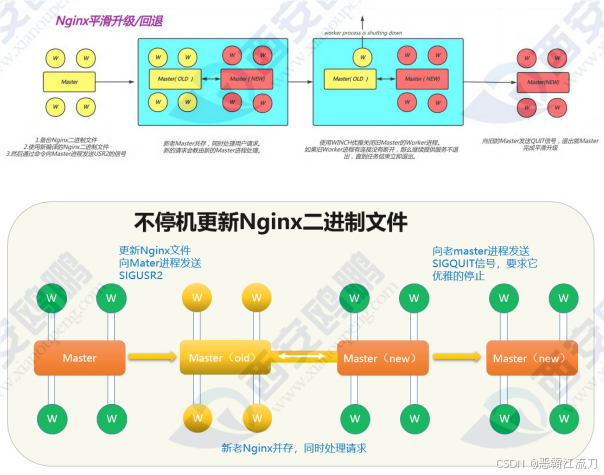 nginx_nginx用什么编译器-CSDN博客