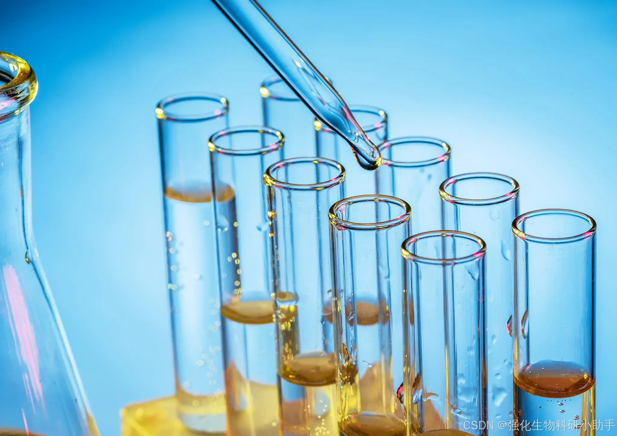 BCFL Acid (Superior replacement for BCECF Acid) 试剂的特点-CSDN博客