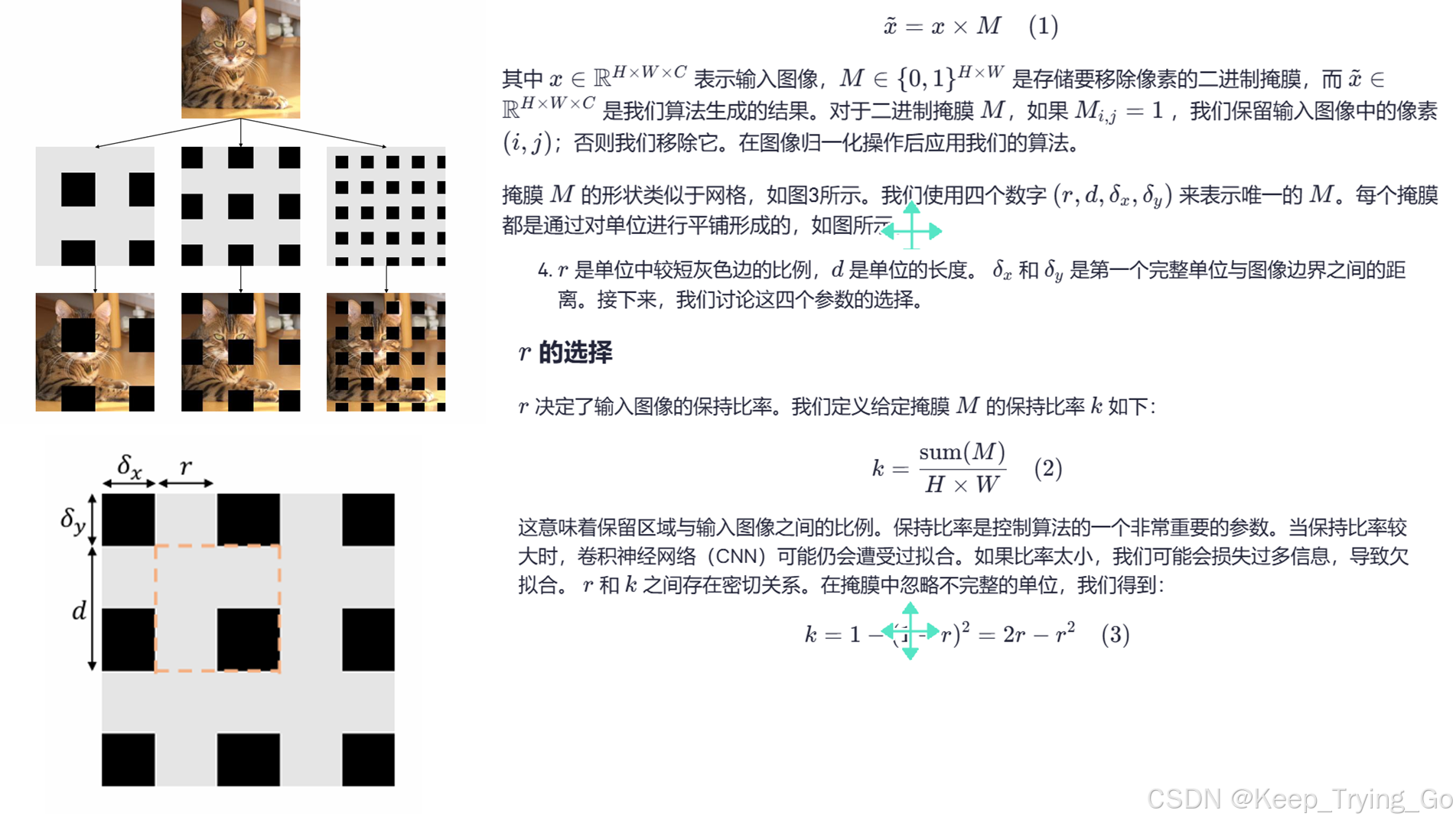 论文GridMask Data Augmentation详解-CSDN博客