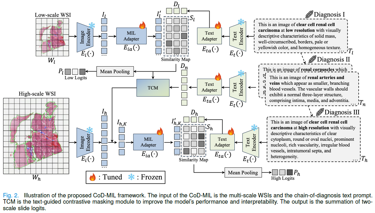 论文127：CoD-MIL: Chain-of-diagnosis prompting multiple instance learning (IEEE TMI‘24，开源)-CSDN博客