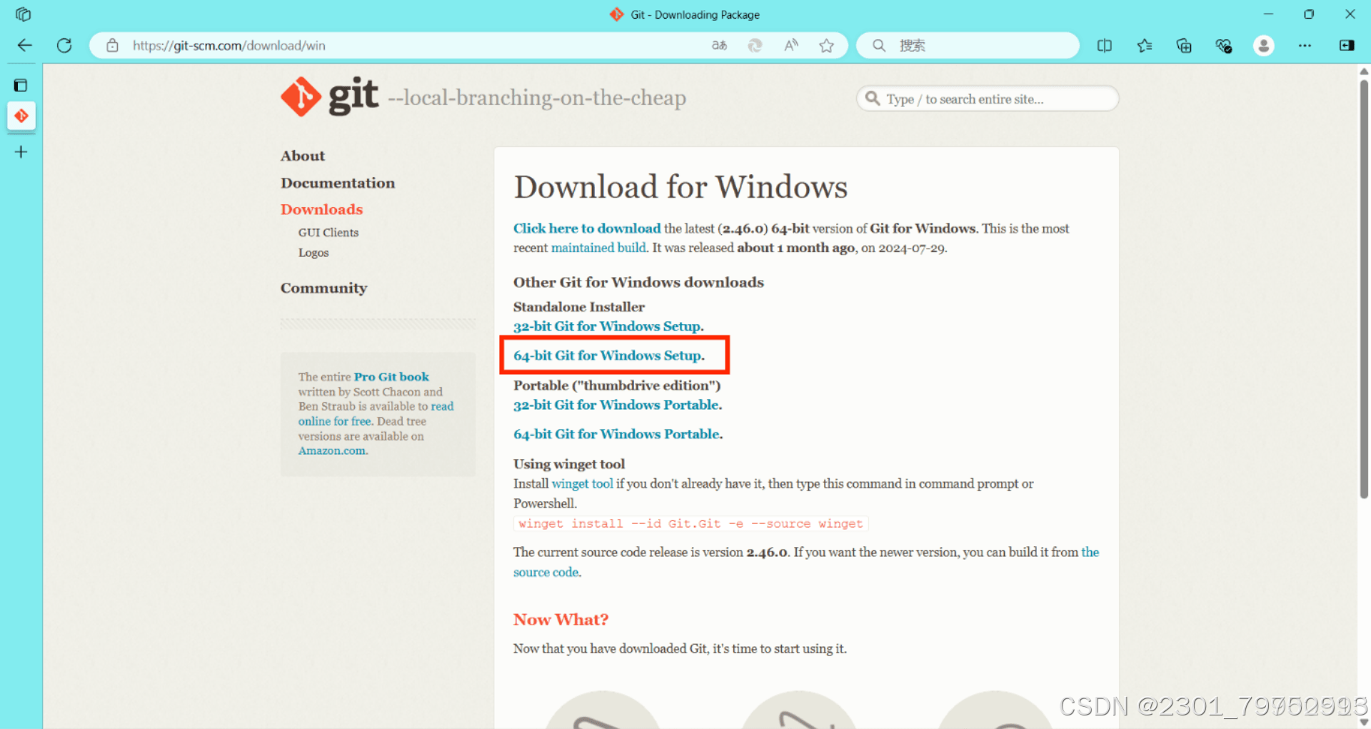 Git Bash 的安装教程和使用_windows安装git bash-CSDN博客