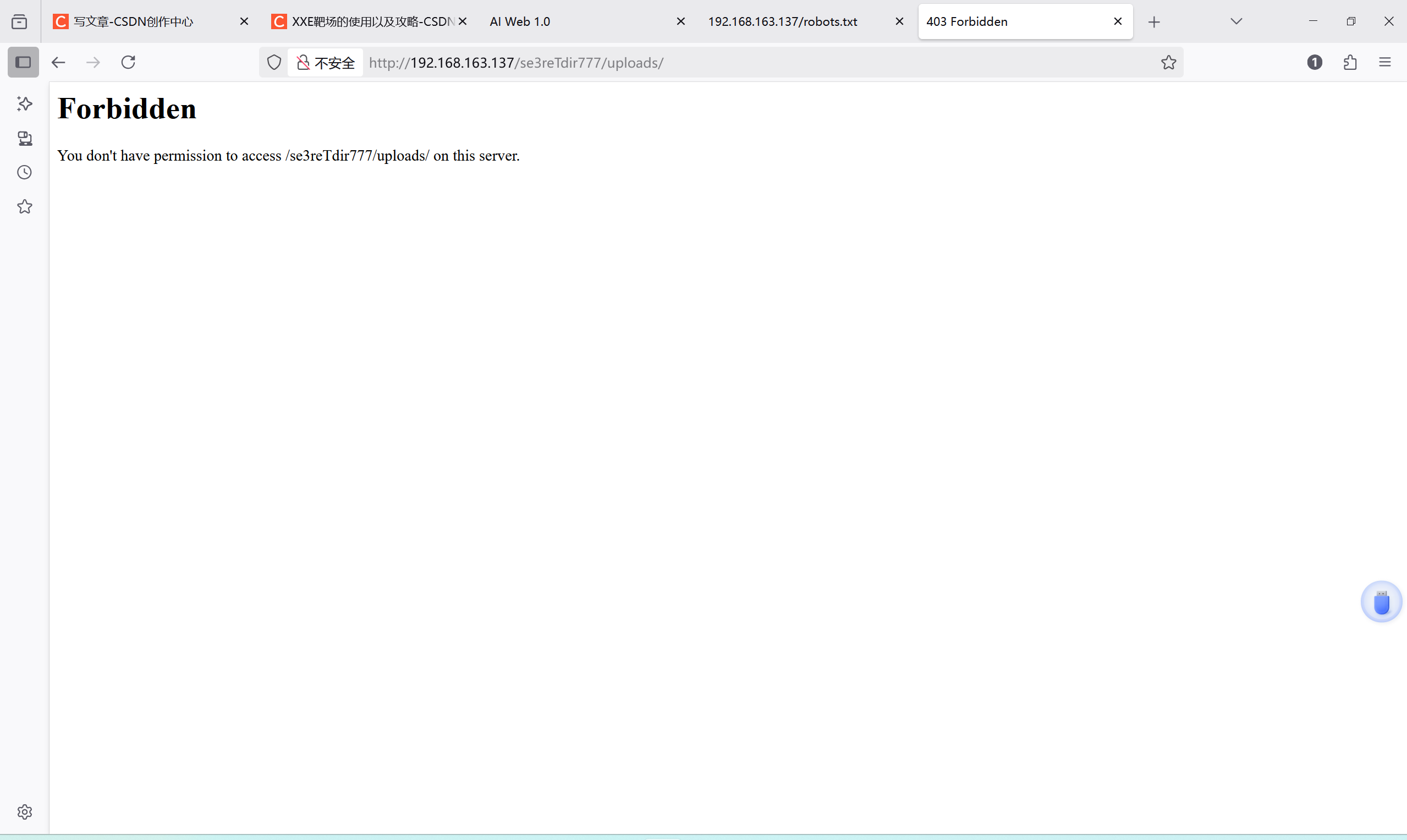 AI-WEB-1.0靶场的使用和攻略_ai 靶场-CSDN博客