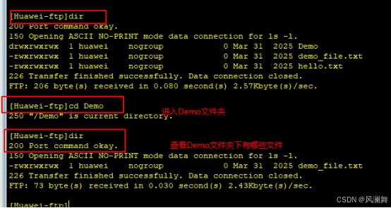 【Ensp】FTP服务器设置和FTP解析_ensp ftp服务器配置-CSDN博客