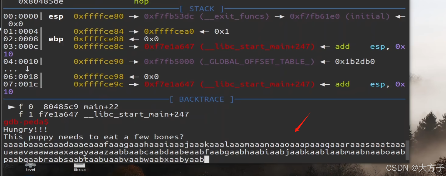 【PolarCTF】小狗汪汪汪_polarctf getshell-CSDN博客