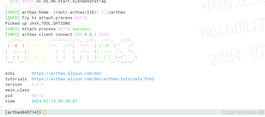 arthas（阿尔萨斯）+jvm调优_arthas jvm-CSDN博客