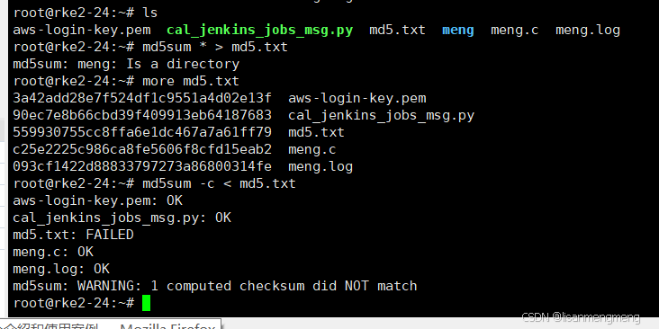 md5sum 命令介绍和使用案例_md5sum命令详解-CSDN博客