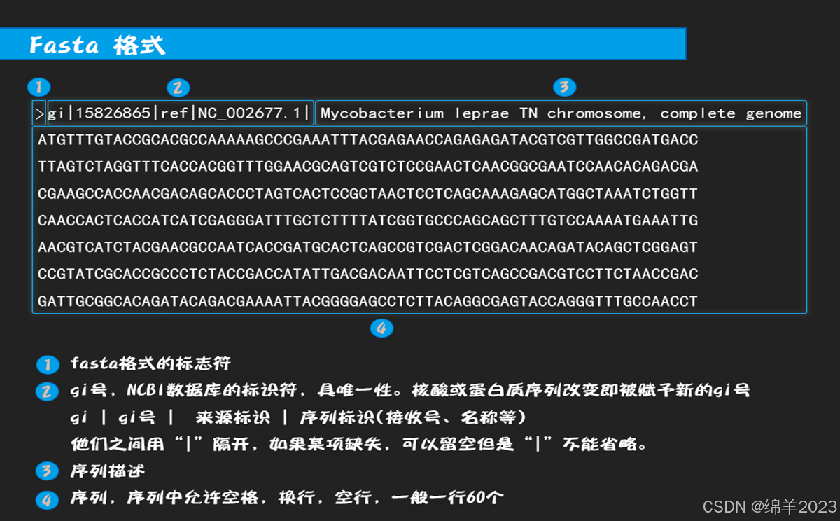 生信分析常见文件——fasta和fatsq文件_fastq文件-CSDN博客