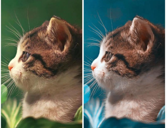 HarvardX TinyML小笔记1（番外6：CNN）-CSDN博客