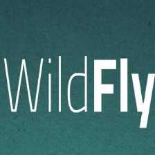 Wildfly EJB 实践系列-CSDN博客