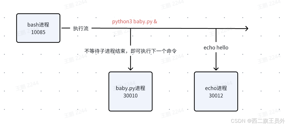 shell编程基础（利用nohup与&，在后台持续运行进程）_shell 中&后台运行-CSDN博客