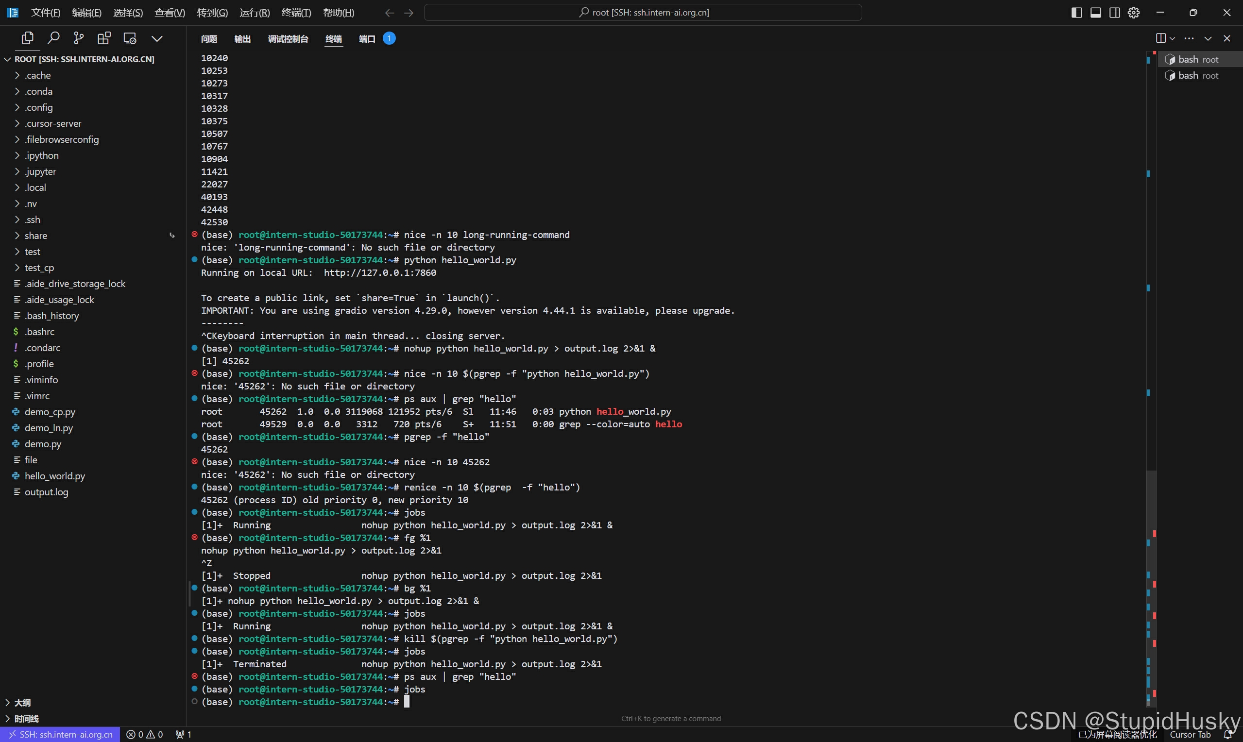 书生大模型实战营第4期 L0G1000-Linux基础知识 闯关作业-CSDN博客