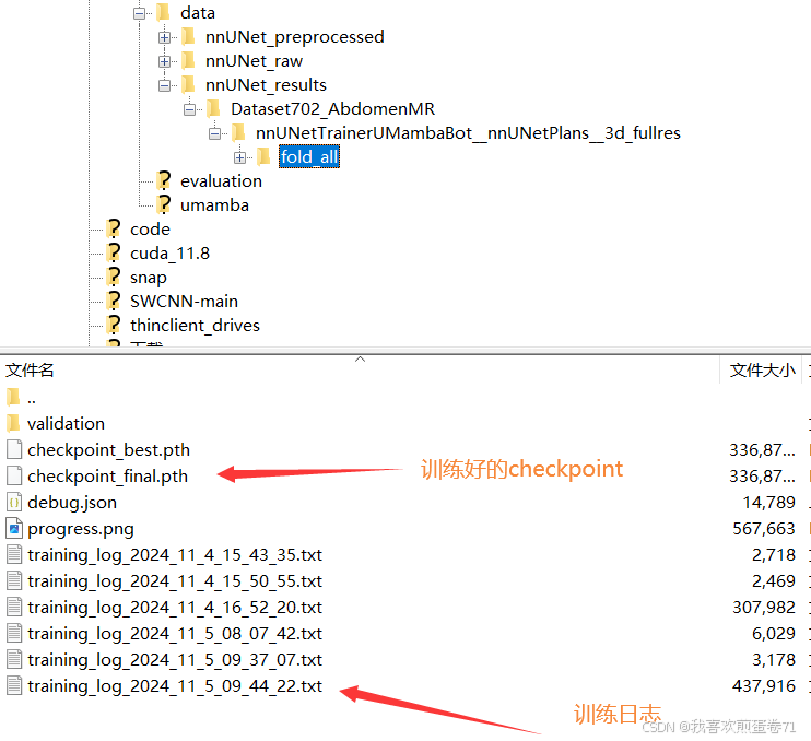 U-Mamba复现_umamba复现-CSDN博客
