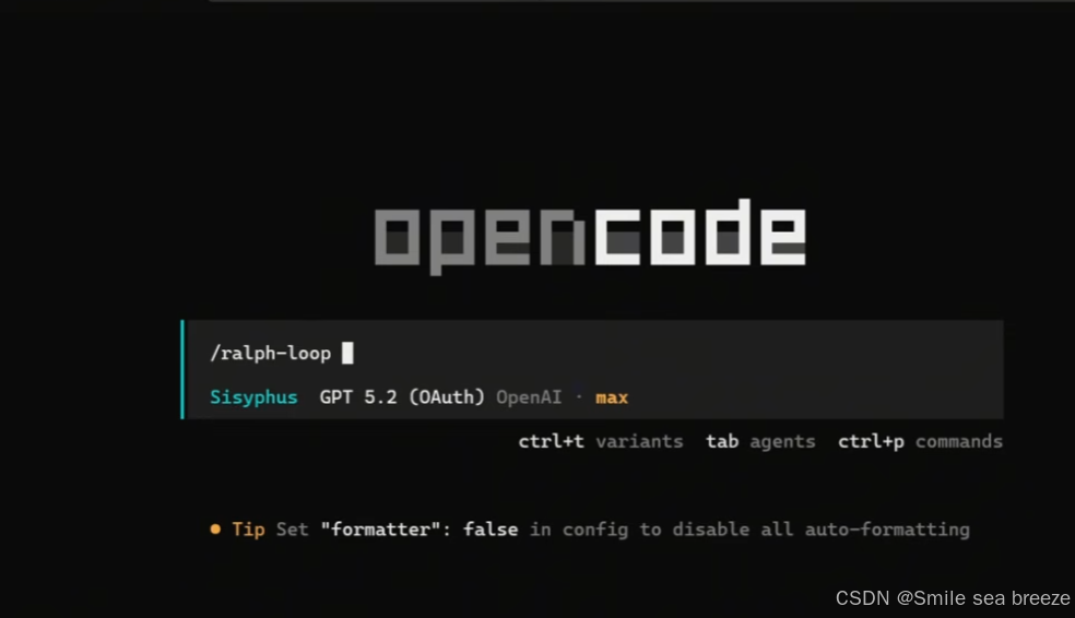 OpenCode详细攻略，开源版Claude Code的内容详细介绍-CSDN博客