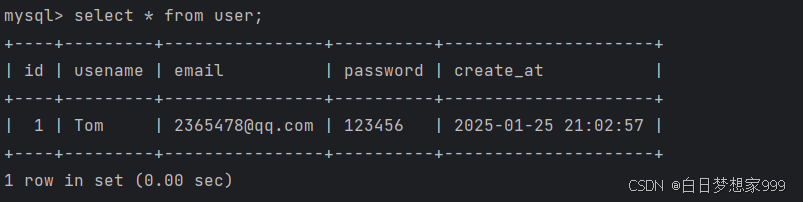在pycharm终端中创建MySQL数据库并插入数据_pycharm创建mysql数据库-CSDN博客