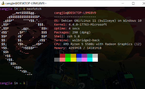 什么是Linux系统？它和Windows有什么区别？_windows linux-CSDN博客